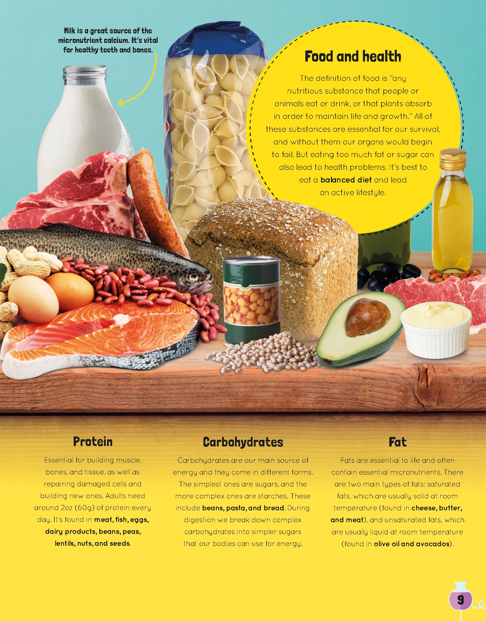 DK科普知识Science You Can Eat 可以吃的科学英文绘本 电子版PDF 百度云网盘下载 | 咿呀启蒙yiyaqimeng.com