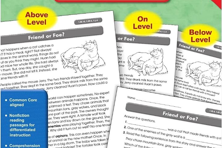 差异化阅读练习册 Differentiated Reading for Comprehension 电子版PDF 百度云网盘下载 | 咿呀启蒙 ...