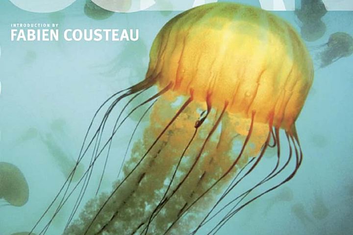 DK《Ocean: The World’s Last Wilderness Revealed》电子版PDF 百度云网盘下载 | 咿呀启蒙 ...