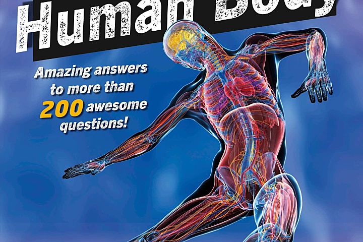 DK儿童人体探索百科Did You Know – Human Body 电子版PDF 百度云网盘下载 | 咿呀启蒙yiyaqimeng.com