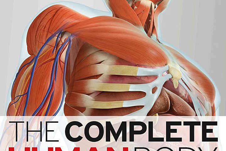 人体探索百科DK The Complete Human Body: The Definitive Visual Guide 电子版PDF 百度 ...