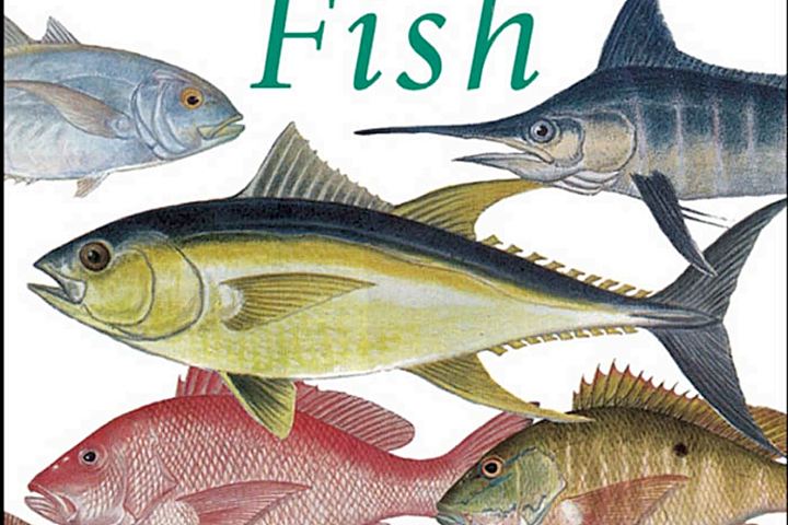 Ken Schultz海水&淡水鱼类图鉴 垂钓者鱼类识别宝典 电子版PDF 百度云网盘下载 | 咿呀启蒙yiyaqimeng.com