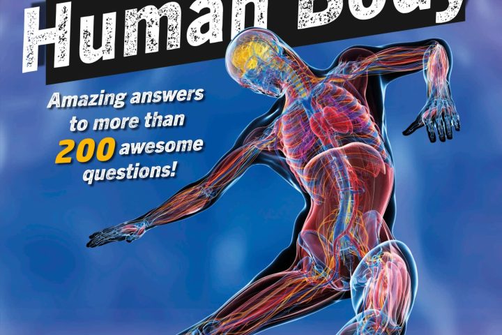 DK儿童人体探索百科Did You Know - Human Body 电子版PDF 百度云网盘下载 | 咿呀启蒙yiyaqimeng.com